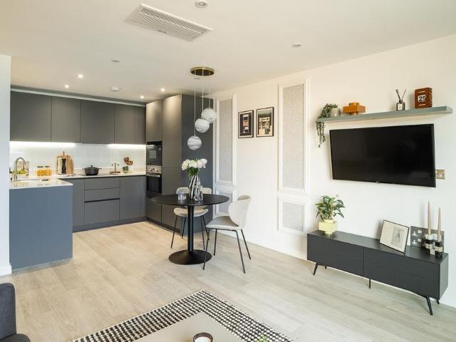 1 bedroom apartment to rent