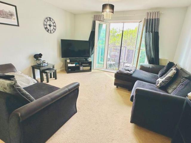 1 bedroom apartment to rent
