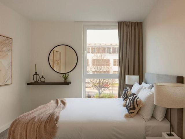1 bedroom apartment to rent