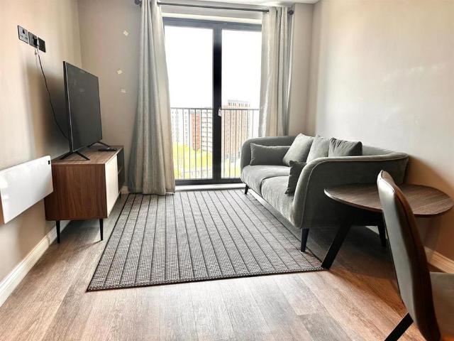 1 bedroom apartment to rent