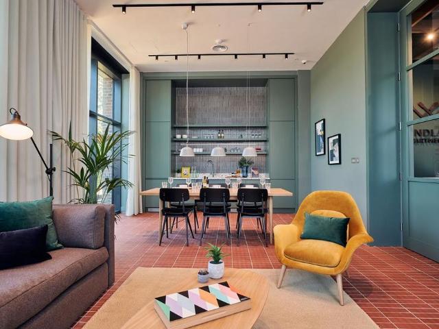 1 bedroom apartment to rent