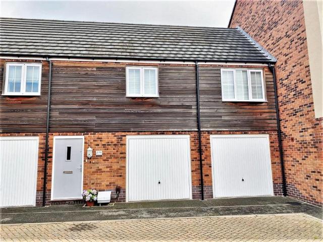 1 bedroom apartment to rent