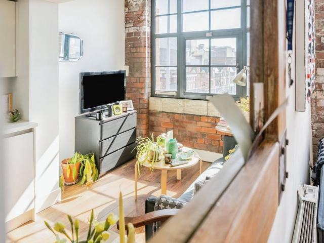 1 bedroom apartment to rent