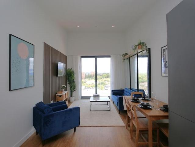 1 bedroom apartment to rent