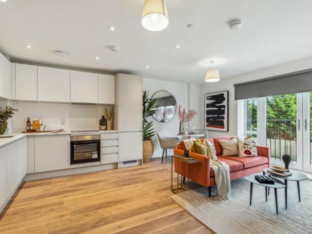 1 bedroom apartment to rent