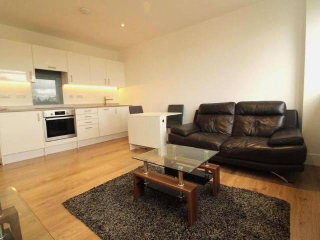 1 bedroom apartment to rent