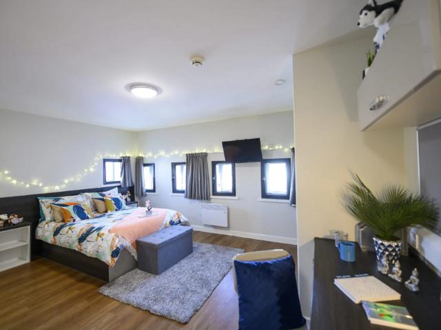 1 bedroom apartment to rent