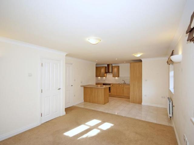1 bedroom apartment to rent