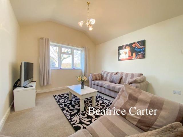 1 bedroom apartment to rent