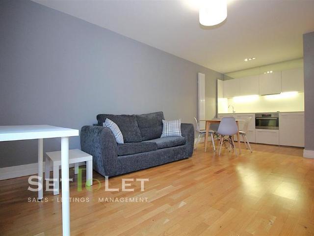 1 bedroom apartment to rent
