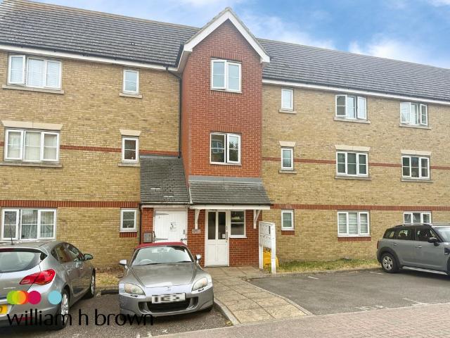 1 bedroom apartment to rent