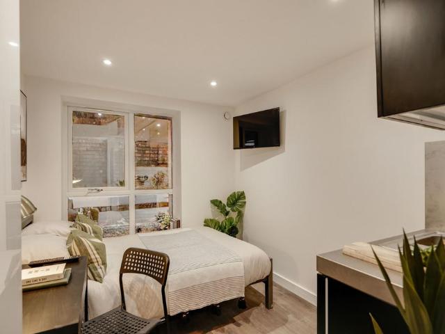 1 bedroom apartment to rent