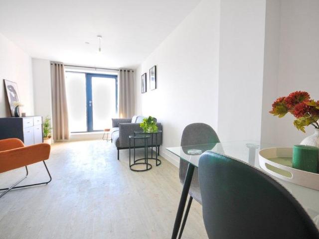 1 bedroom apartment to rent
