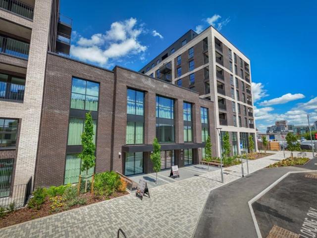 1 bedroom apartment to rent