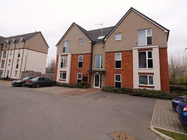 1 bedroom apartment to rent