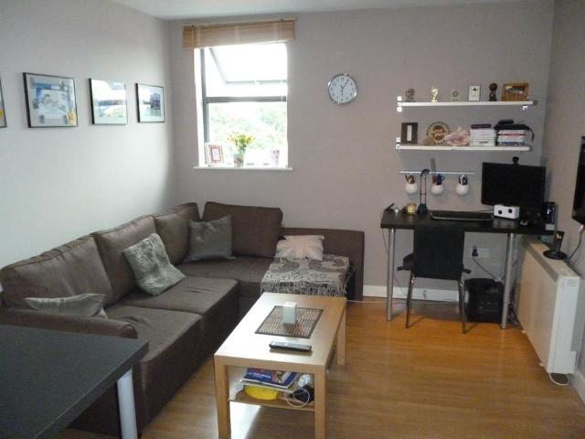 1 bedroom apartment to rent