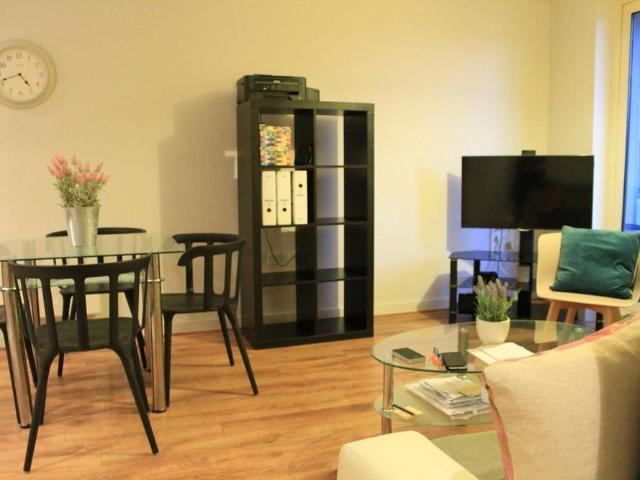 1 bedroom apartment to rent