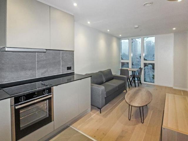 1 bedroom apartment to rent