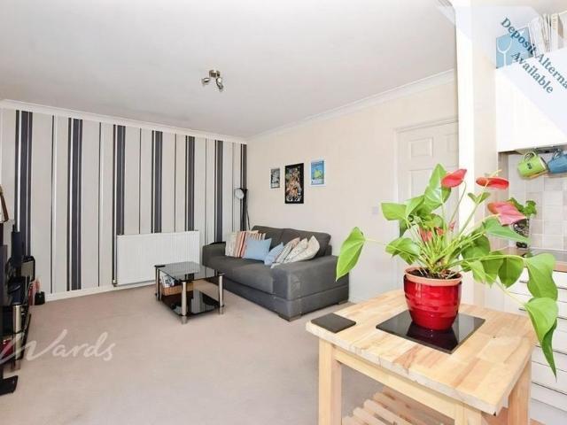 1 bedroom apartment to rent
