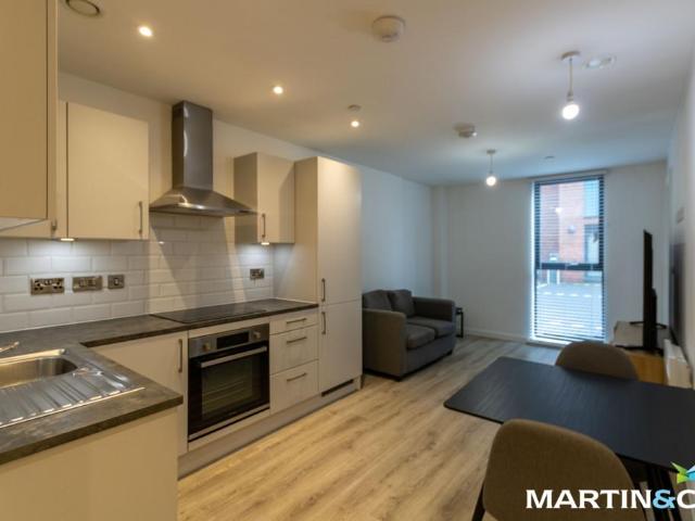 1 bedroom apartment to rent
