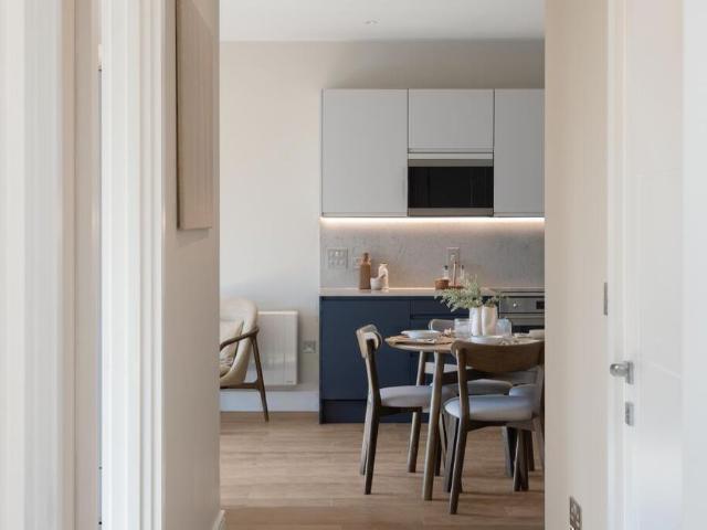 1 bedroom apartment to rent