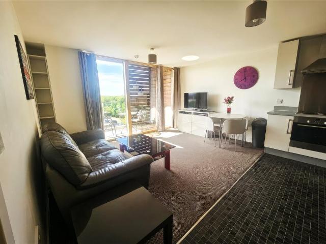 1 bedroom apartment to rent