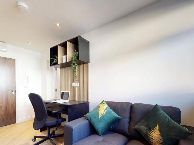1 bedroom apartment to rent