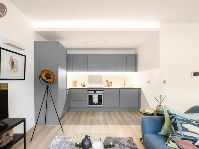1 bedroom apartment to rent