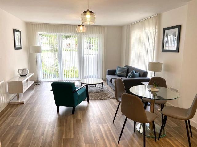 1 bedroom apartment to rent