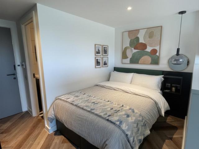1 bedroom apartment to rent