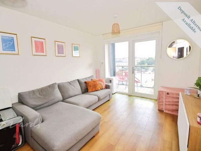 1 bedroom apartment to rent