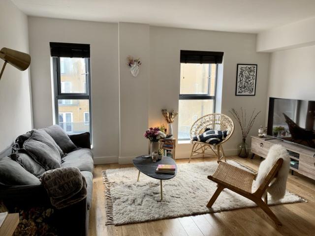 1 Bedroom Apartment with Rooftop in Peckham