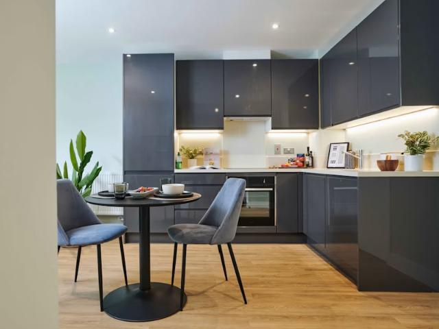 1 bedroom apartment