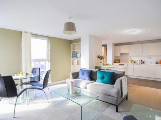 1 bedroom apartment