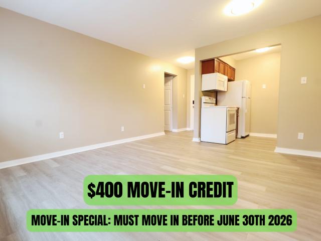 1 Bedroom Apartment