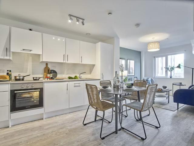 1 bedroom apartment
