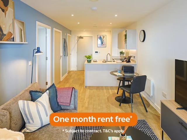 1 bedroom apartment