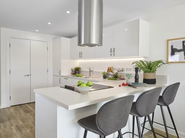 1 bedroom apartment