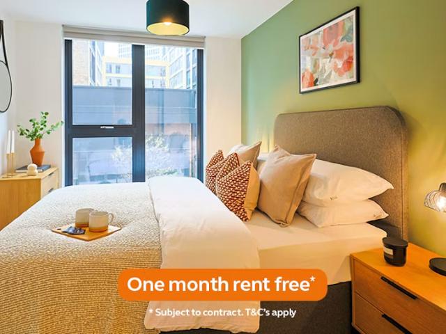 1 bedroom apartment