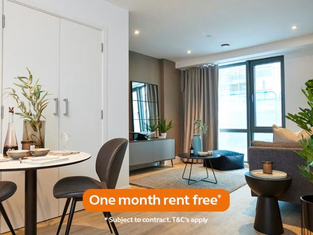 1 bedroom apartment