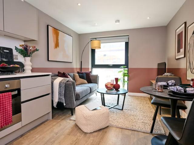 1 bedroom apartment