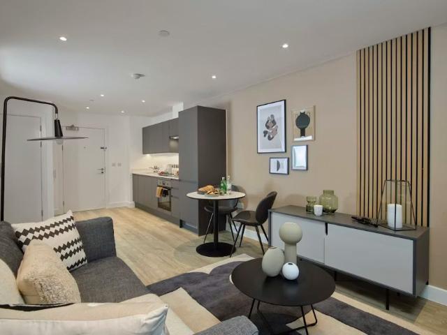 1 bedroom apartment