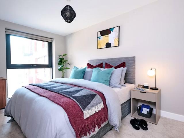 1 bedroom apartment