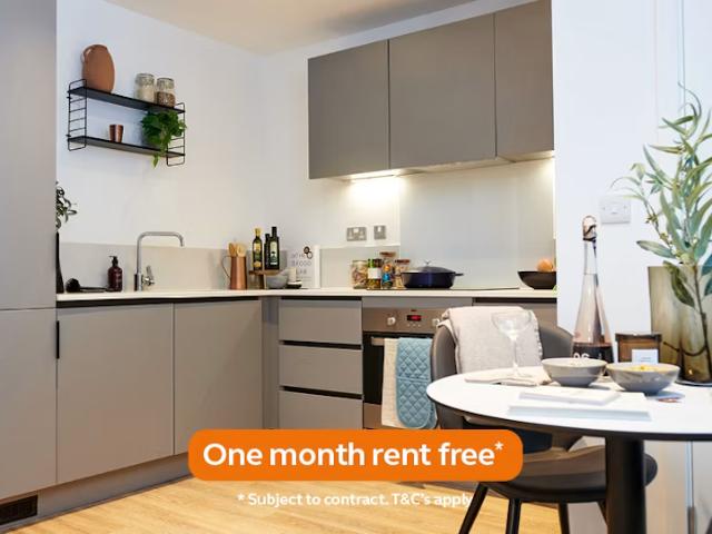 1 bedroom apartment