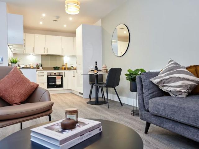 1 bedroom apartment
