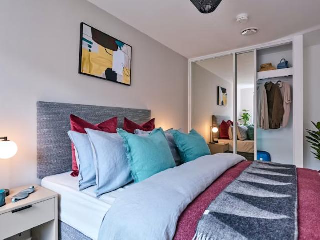 1 bedroom apartment