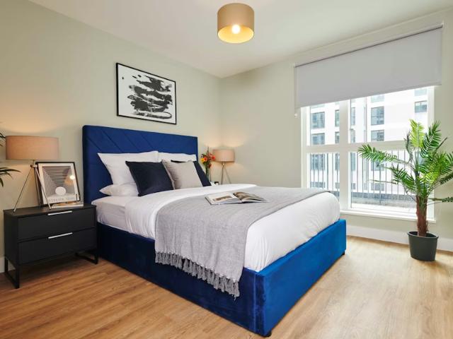 1 bedroom apartment