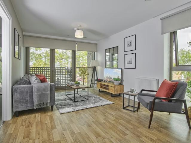 1 bedroom apartment