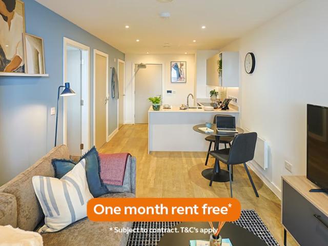 1 bedroom apartment