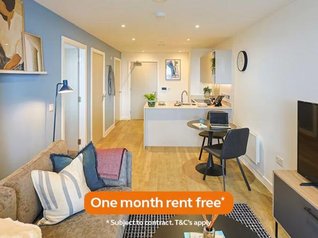 1 bedroom apartment